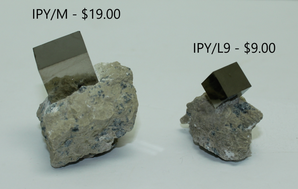 Iron Pyrite in Limestone Matrix - Pikes Peak Rock Shop