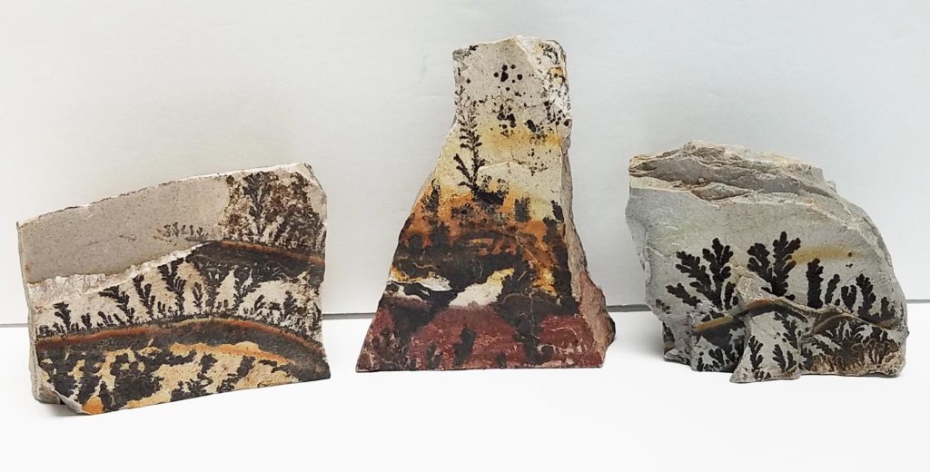 Dendrite Stones - Pikes Peak Rock Shop